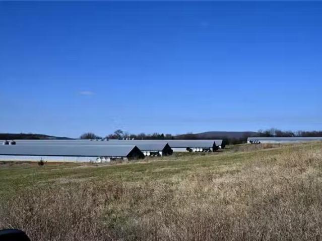 17790 HALE MOUNTAIN RD, CANEHILL, AR 72717 Farm For Sale MLS#.