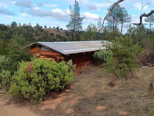 17795 Duck Canyon Rd, Igo, CA 96047