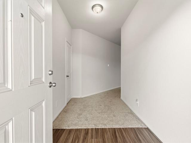 17702 Brahman Horn Court