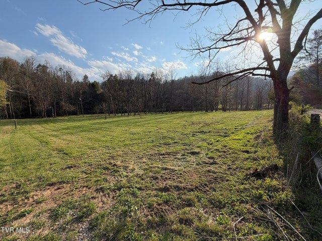 1770 Old 15th Rd, Del Rio, TN 37727