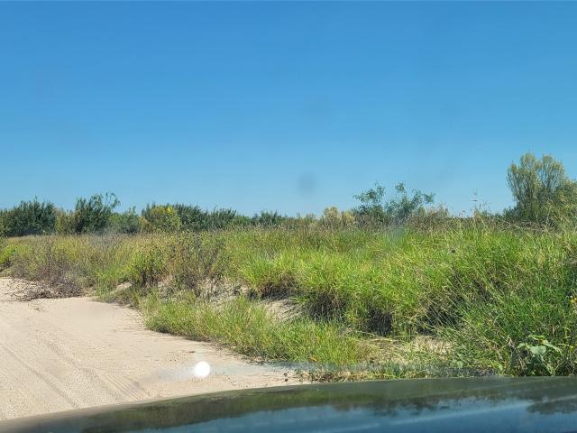 1770 Pimienta Rd, Rio Grande City, TX 78582 | MLS #19851 | Compass