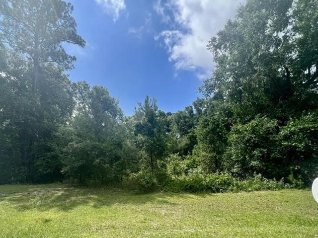 1771 Colonial Dr, Green Cove Springs, FL 32043