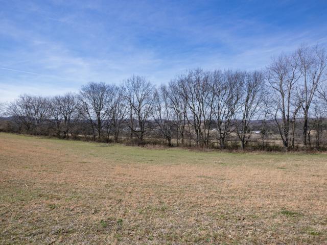 1771 Cornersville Hwy