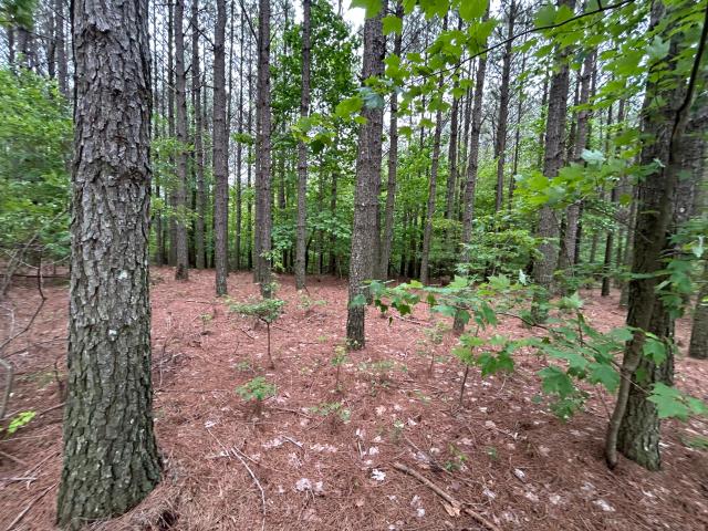 1771 Crockett Point, Unit JF604, Jasper, TN 37347 | MLS #1513