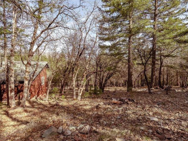 1771 Diamond Mountain Rd, Greenville, CA 95947 | MLS #2600