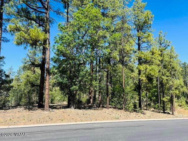 1771 Snow Creek Loop