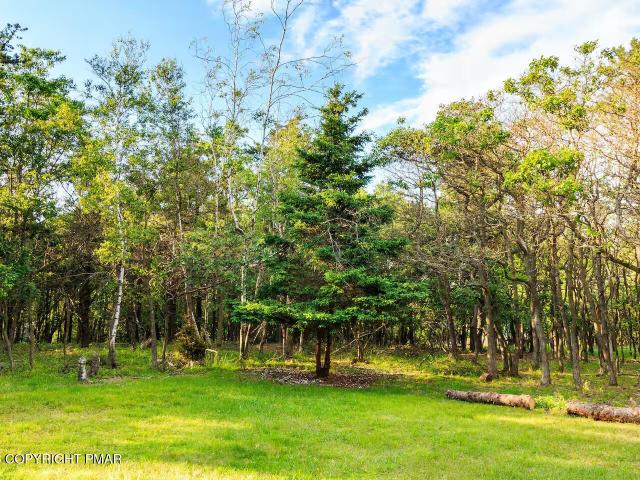 177 Elmwood Dr, Albrightsville, PA 18210 | MLS #PM 139061