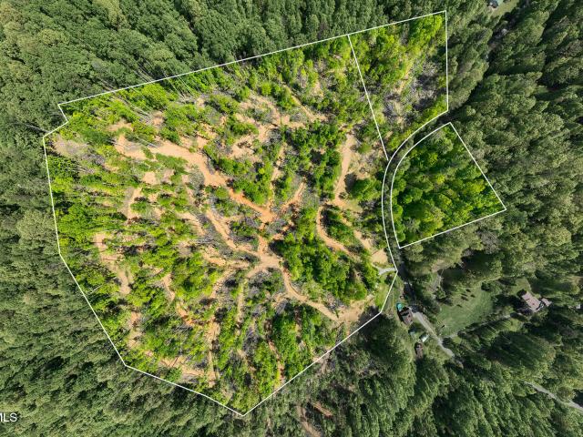 177 Fork Mountain Road