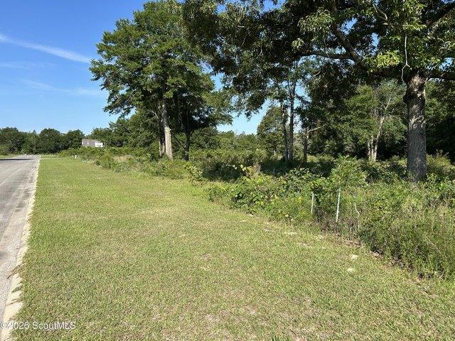 177 Northshore Ave, Jesup, GA 31545