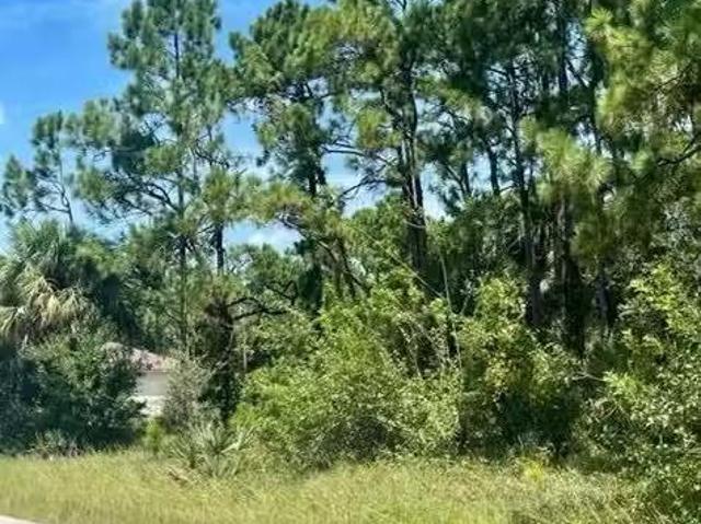 177 Shalimar Ave NW, Palm Bay, FL 32907 MLS 1008985
