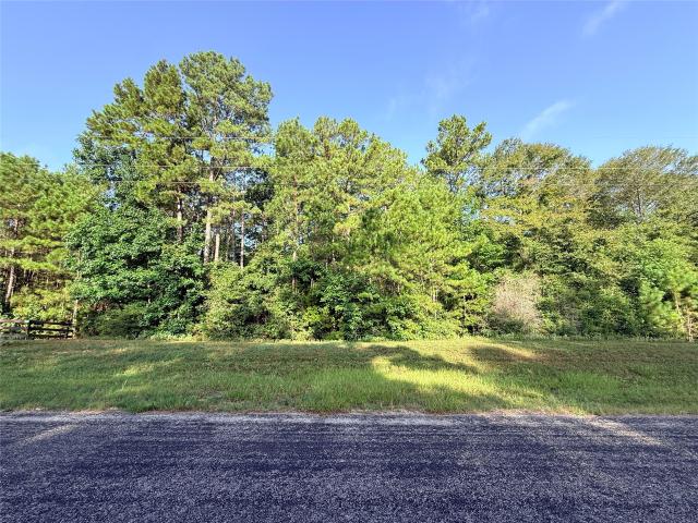 177 Sundog Road