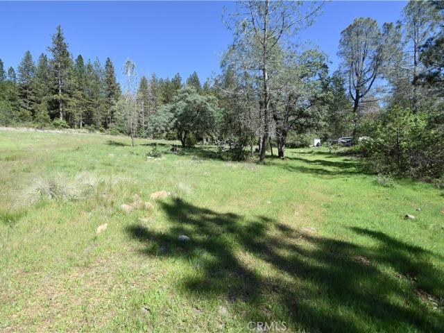 17861 Ponderosa
