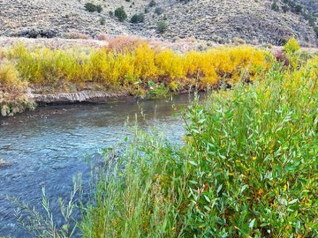 17888 Outlaw Rd NS Unit 5, Panguitch, UT 84759