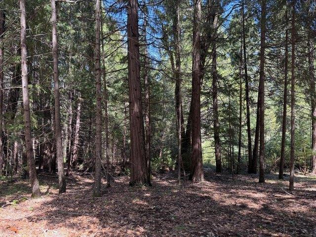 17889 Lightfoot Way, Nevada City, CA 95959
