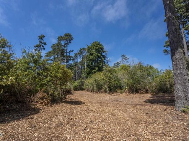 17898 Georges Ln, Fort Bragg, CA 95437