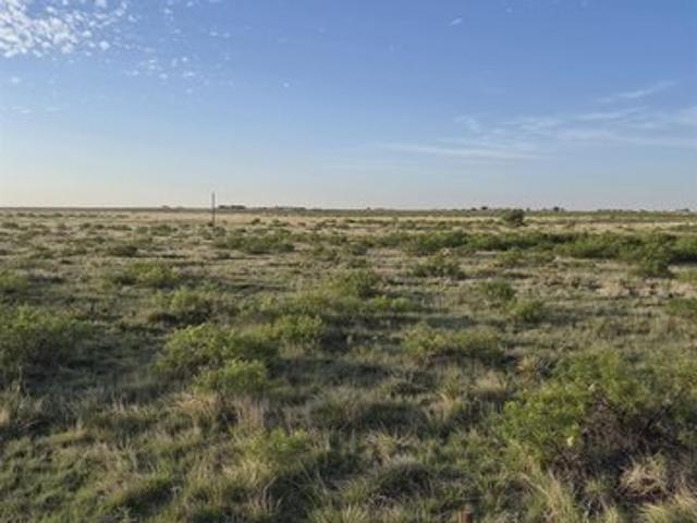 1789 Moreland Rd, Portales, NM 88130