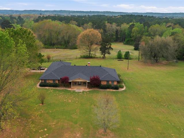 17804 County Road 4235, Frankston, TX 75763 | MLS #21227