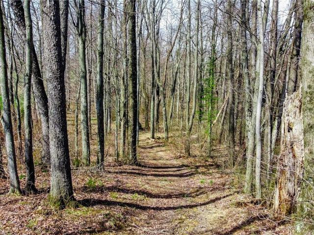 17805 Early Cemetary Road