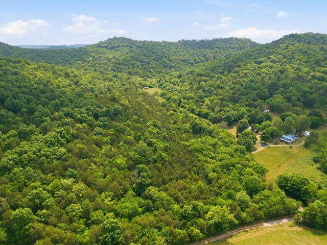 1780 Chumley Hollow Rd