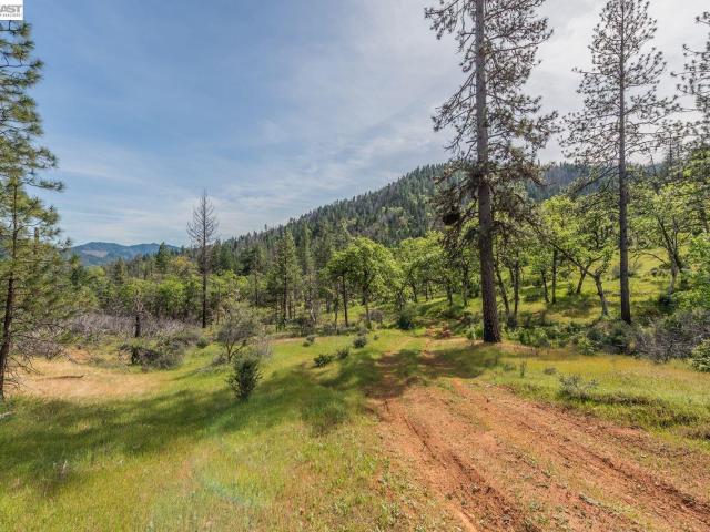 1780 Dutch Creek Rd