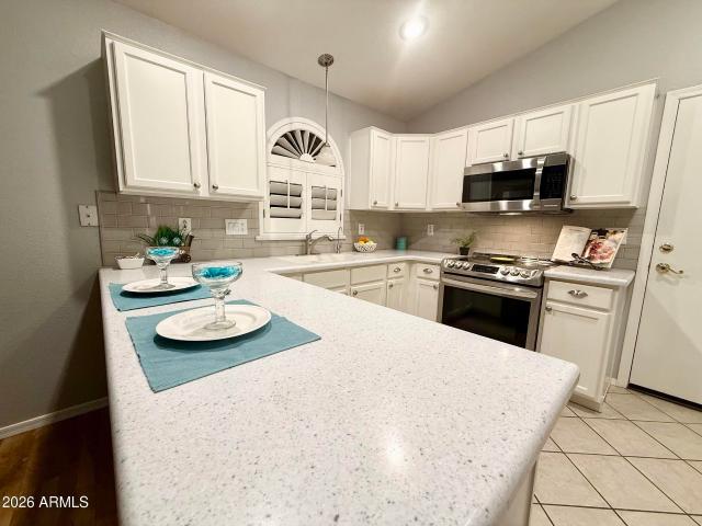 17810 n phoenician drive