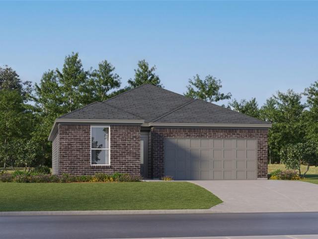 17816 yellow warbler way