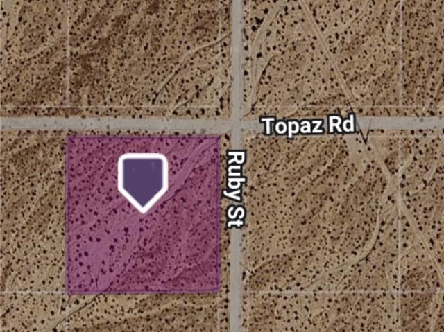 1781 W Topaz Road
