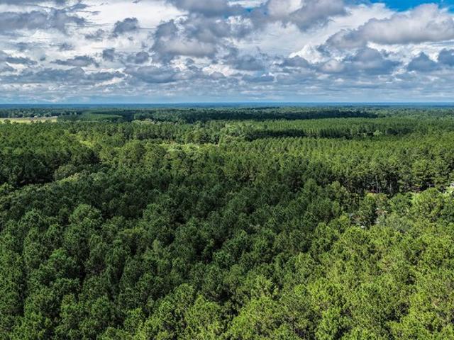 1782 Acres County Line Rd, Shepherd, TX 77371