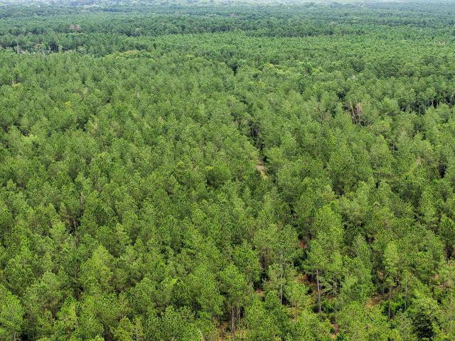 1782 Acres County Line Road