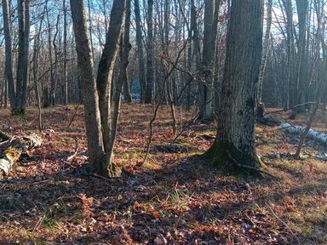 1782 Hemlock Ln, Lincoln, MI 48622
