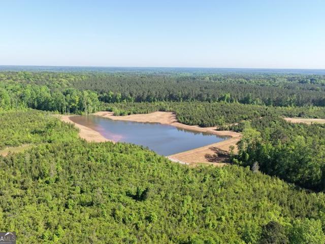178.235 Ac Rocky Mount Rd, Luthersville, GA 30251