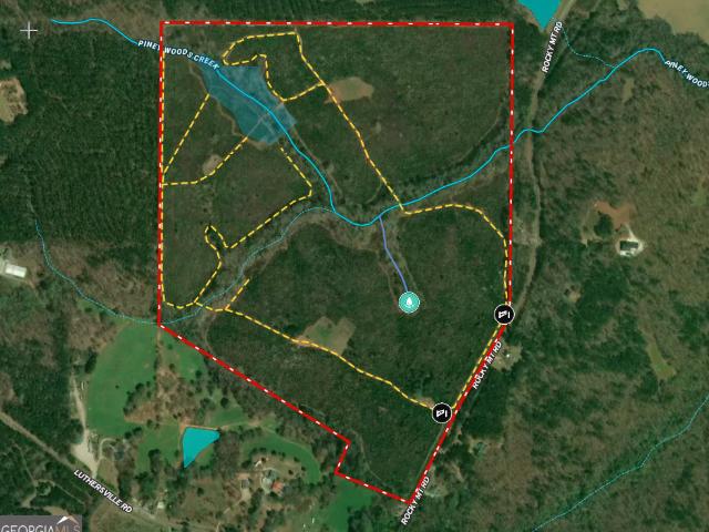 178.235 ac Rocky Mount Rd, Luthersville, GA 30251 | MLS #10674