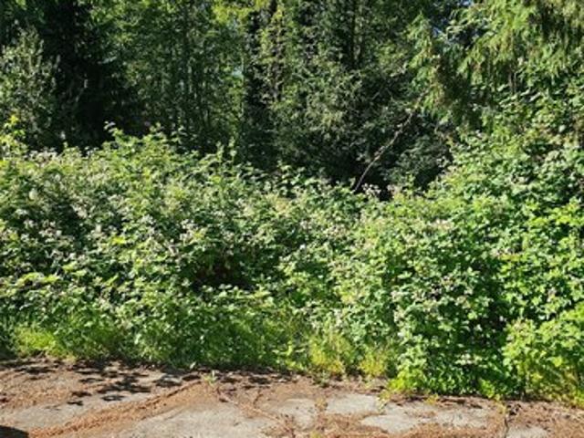 178 54th Pl SW, Lynnwood, WA 98037