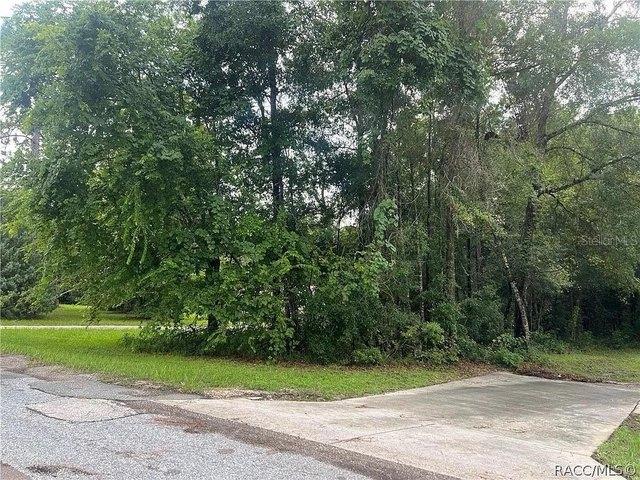 178 S School Ave, Lecanto, FL 34461