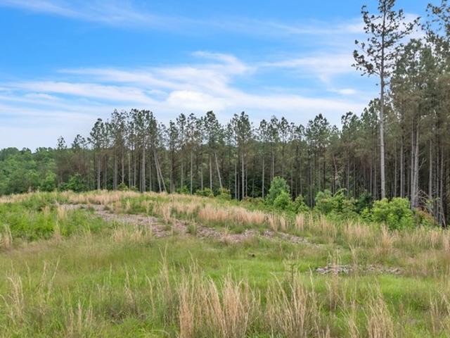 178 Sagebrush Way, Dover, TN 37058