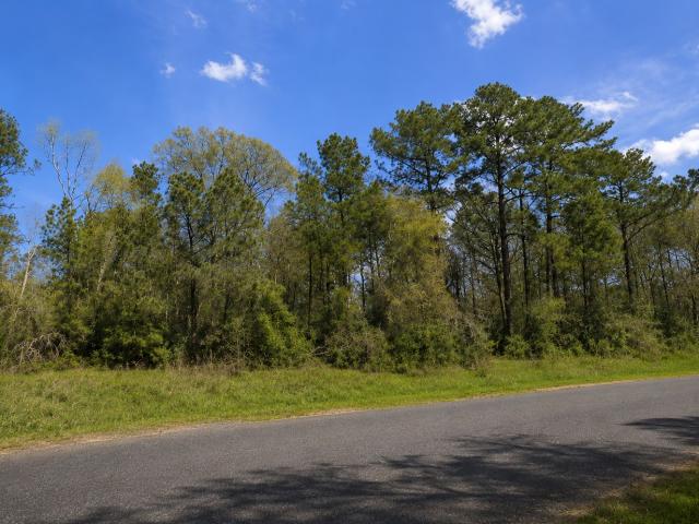178 Rustic Ranch Drive