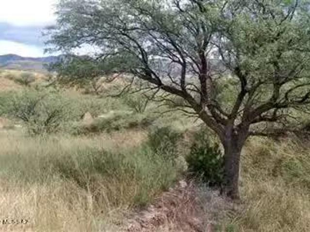 178 TANGLEHEAD LN, PATAGONIA, AZ 85624