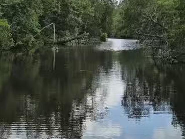 17949 KINGWAY RD, SEMINOLE, AL 36574 Vacant Land For Sale MLS.