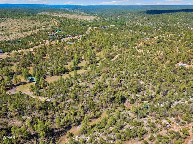 1794 Canyon Dr, Heber, AZ 85928