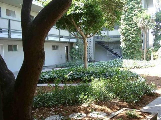 $1795 / 1br Great opportunity in Mountain View best Location