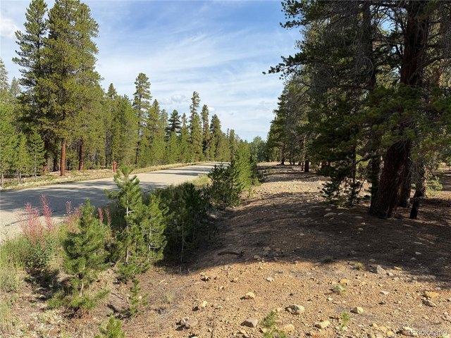 1796 Autumn Dr, Leadville, CO 80461