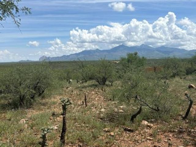 1797 Oahu Ct Unit 22, Rio Rico, AZ 85648