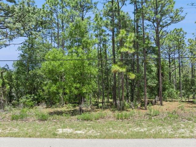1797 W Union St, Hernando, FL 34442