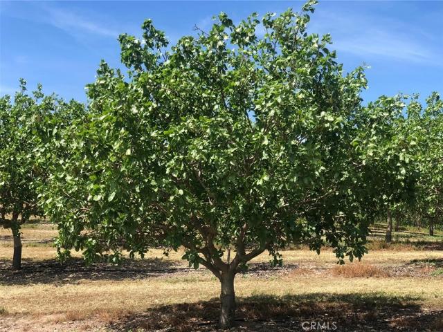 17981 Los Cerritos