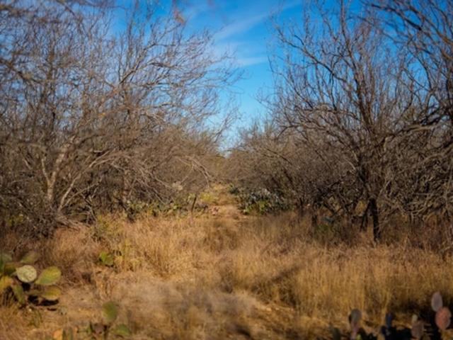 1799 Shumaca Road