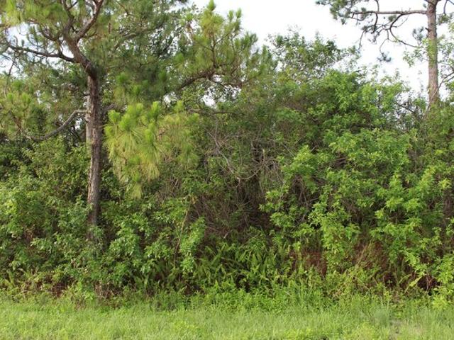 1799 th St N, Loxahatchee, FL 33470