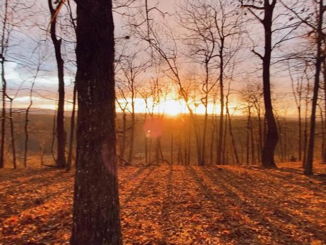 1790 Monroe Mountain Road