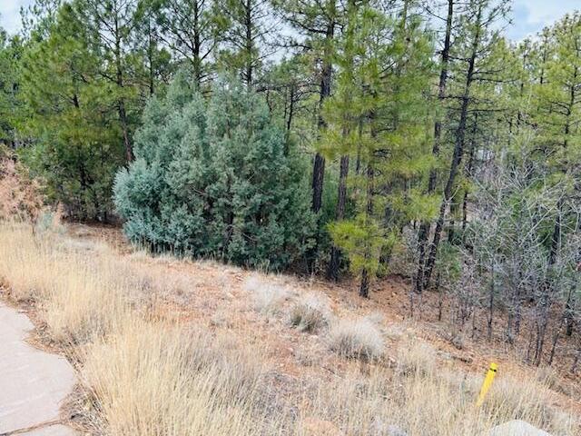 1790 Snow Creek Trail