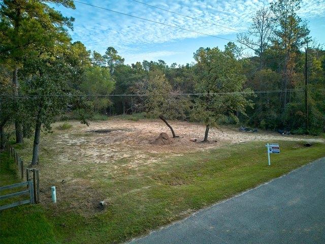 17910 Sea Turtle Ct, Magnolia, TX 77355