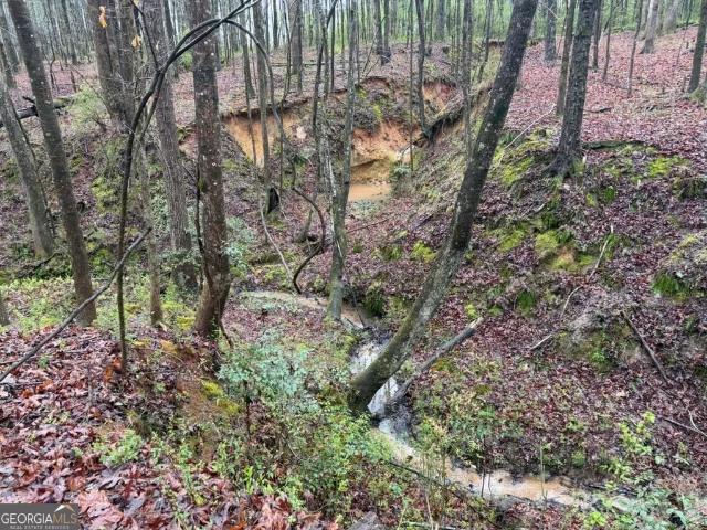 1791 McRee Gin Rd, Watkinsville, GA 30677 | MLS #10719